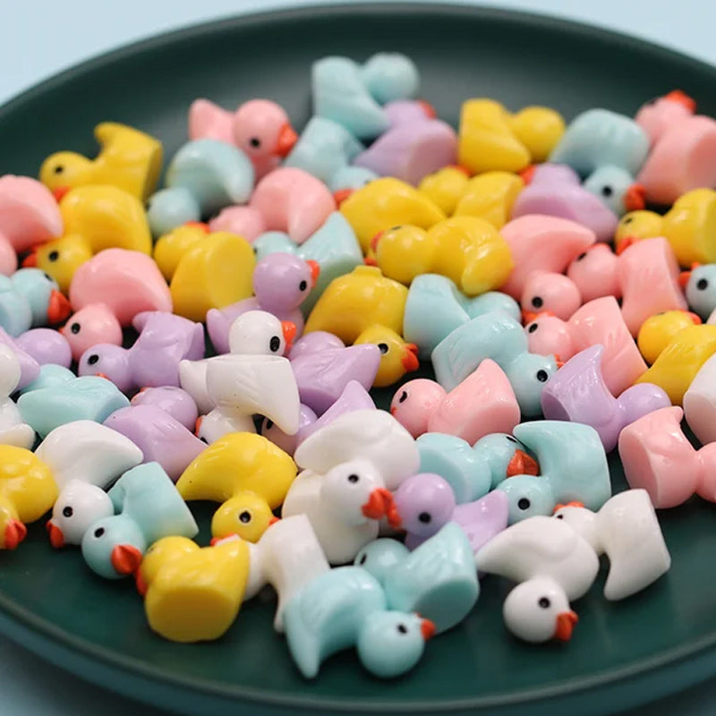 Tiny Ducks | Challenge Hiding Ducks, Mini Resin Duck Dolls – dimoohomeuk